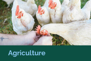 LifeClean – Creating safe environments